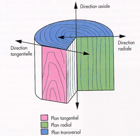 Les caractéristiques du matériau bois - Mecobat